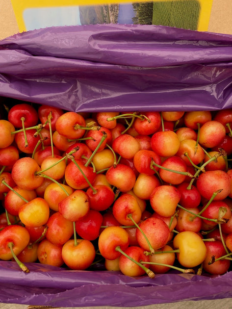 7/18 Currently USA Cherry Delivery Status – NX GIFT